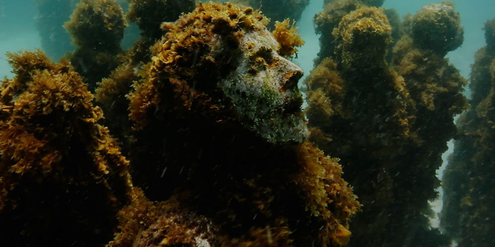 How to Meet a Mermaid